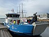 MS «Hovedøya II»